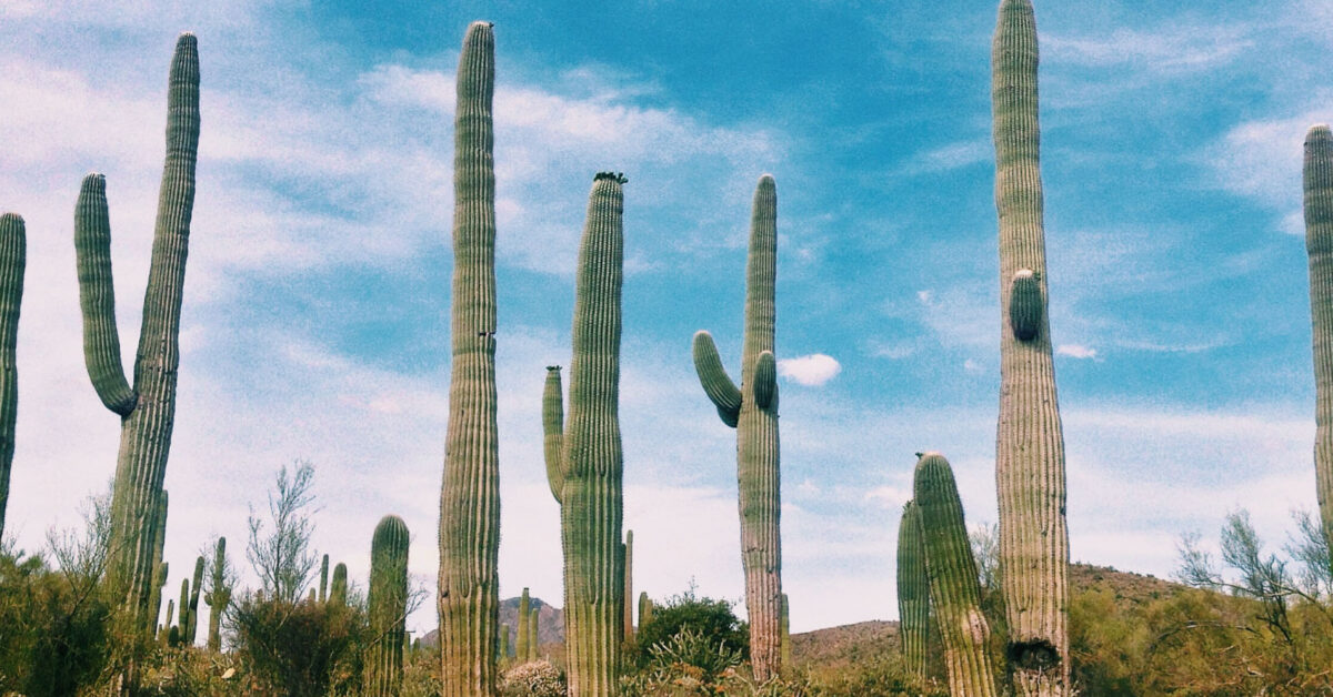 Arizona - Maxsource Technologies