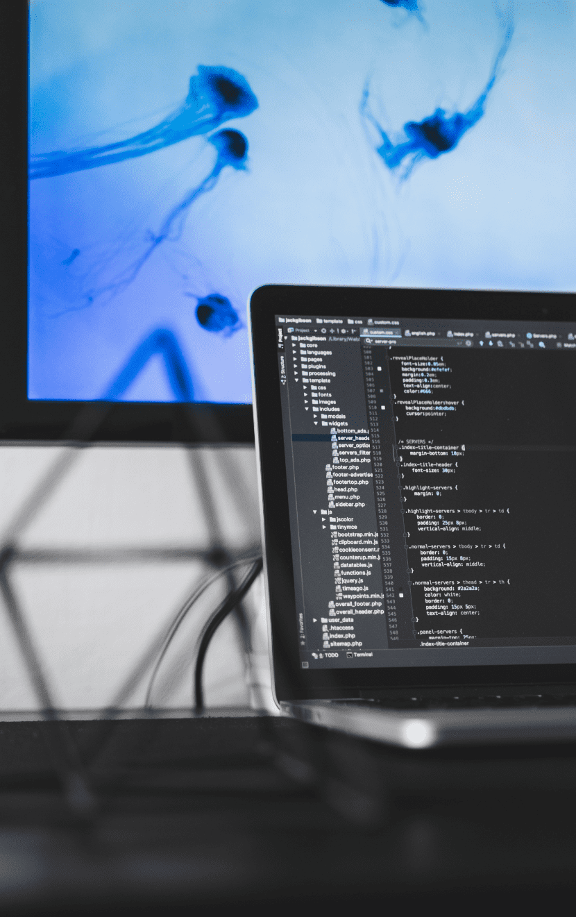 Hire Laravel Developers | Custom Web Solutions